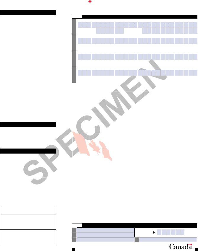 Canada Declaration Card Form ≡ Fill Out Printable PDF Forms Online
