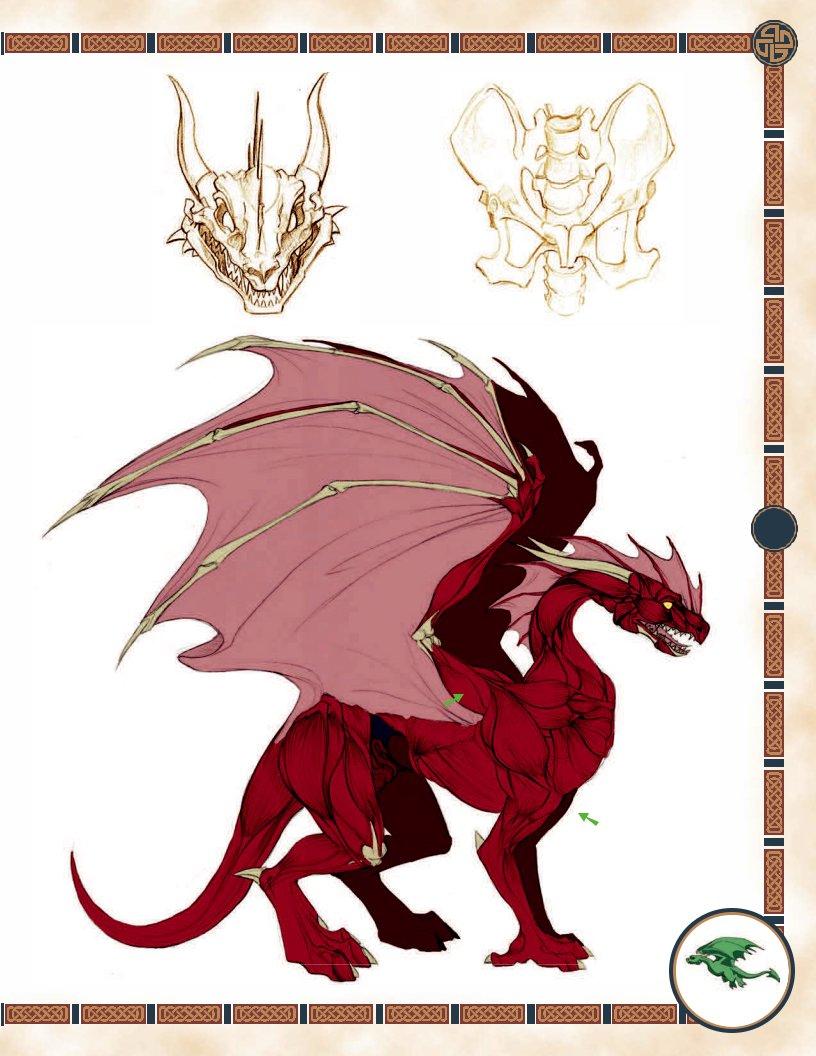 How To Draw Dragons Form ≡ Fill Out Printable PDF Forms Online