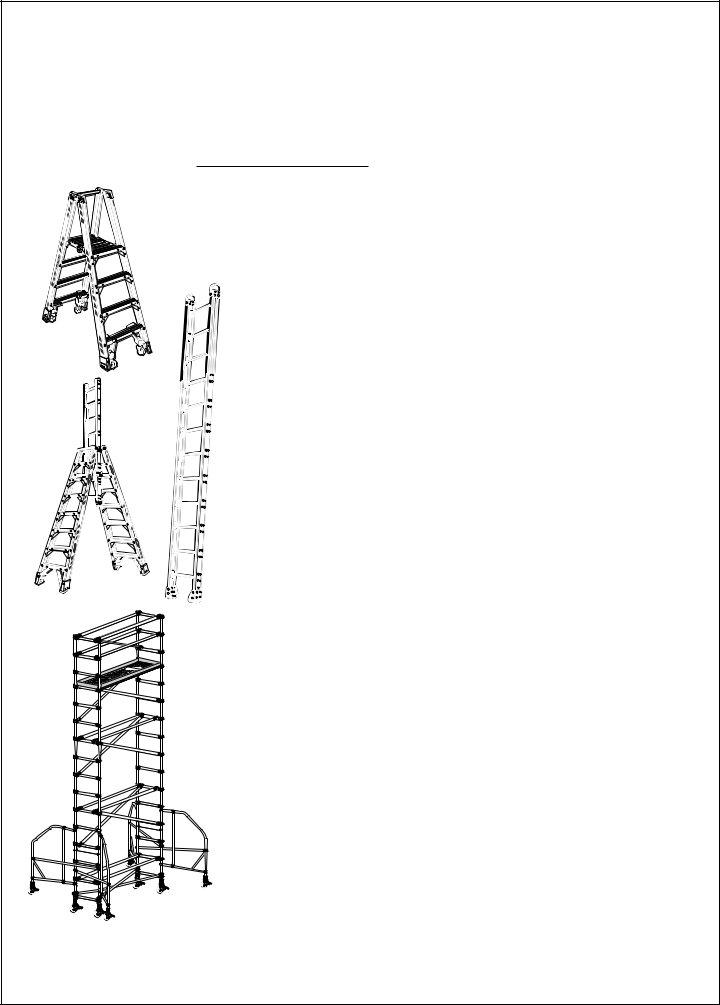 Ladder Checklist Form ≡ Fill Out Printable PDF Forms Online