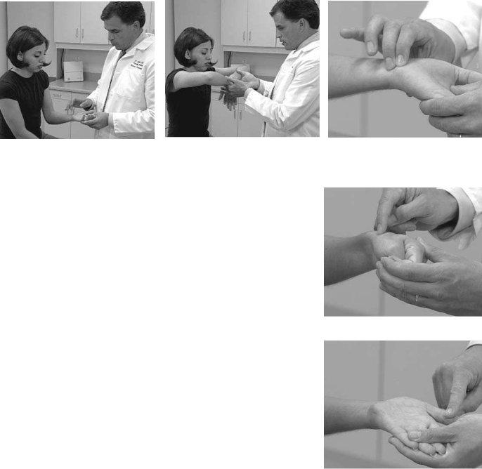 Musculoskeletal Examination Ppt PDF Form - FormsPal