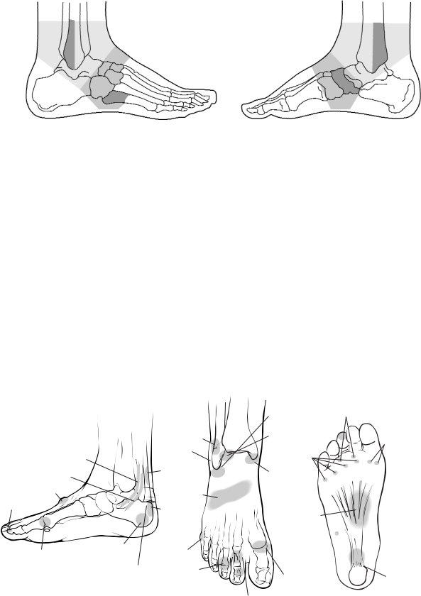 Musculoskeletal Examination Ppt PDF Form - FormsPal