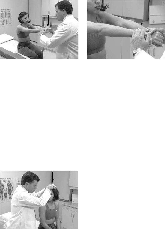 Musculoskeletal Examination Ppt PDF Form - FormsPal