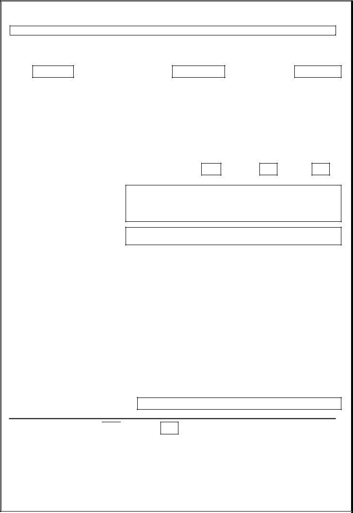 Application For Night Out With Boys PDF Form - FormsPal