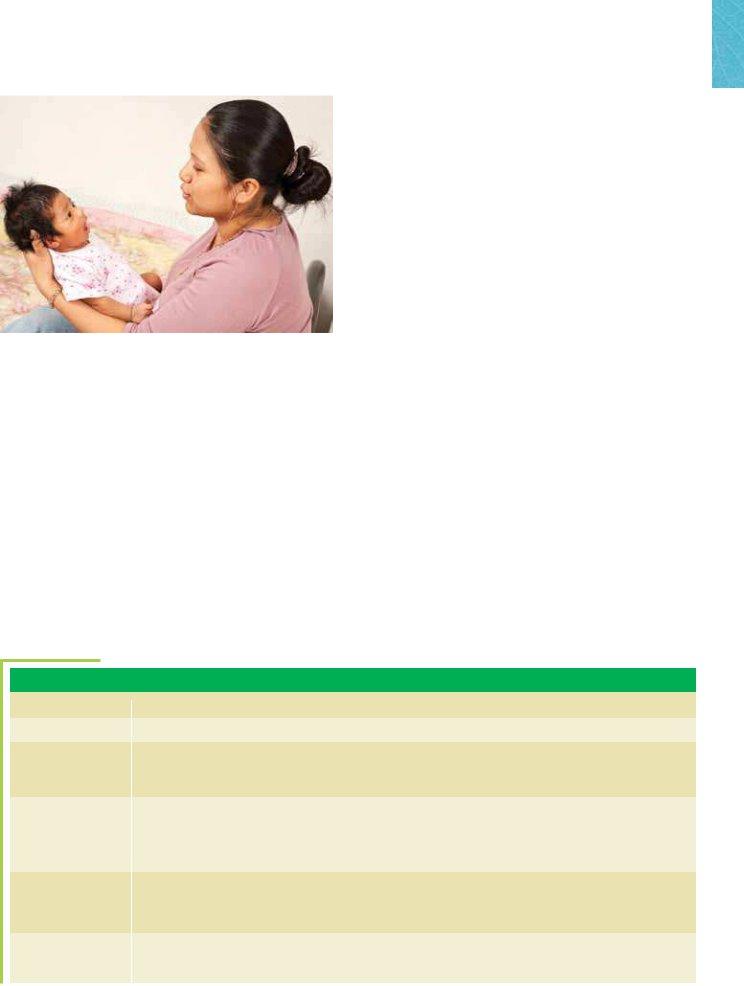 Development Lifespan 6Th Edition ≡ Fill Out Printable PDF Forms Online