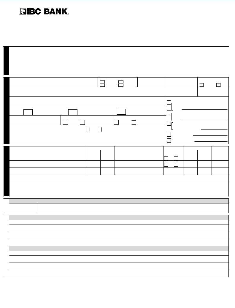 Ibc Bank Job Application ≡ Fill Out Printable PDF Forms Online