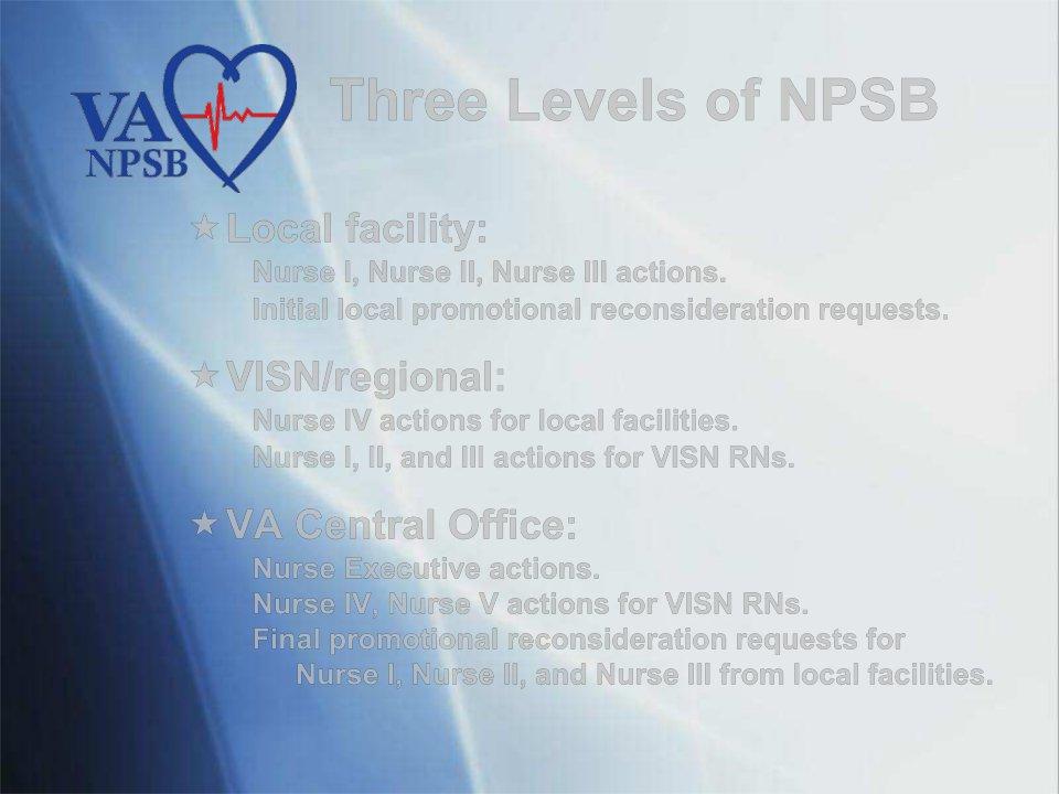 Nurse Professional Standards Board PDF Form - FormsPal
