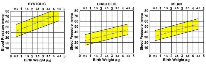 Stable Program Pre Assessment ≡ Fill Out Printable PDF Forms Online