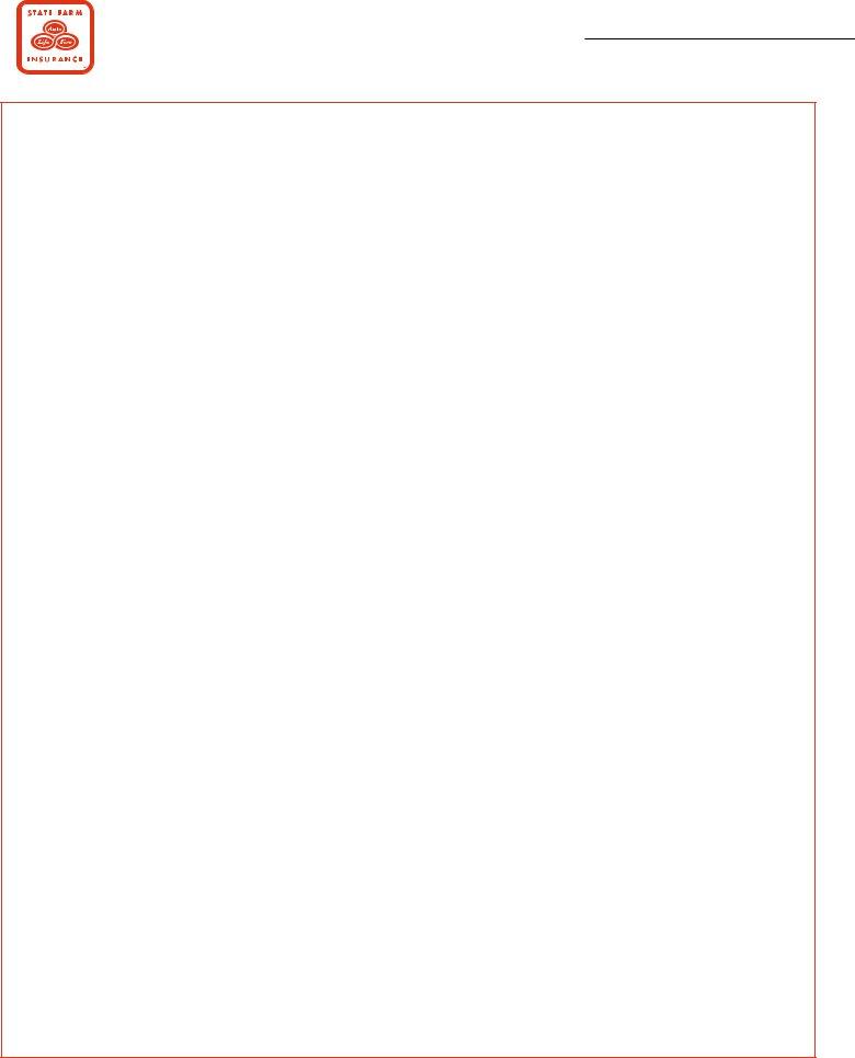 State Farm Personal Financial Statement PDF Form - FormsPal