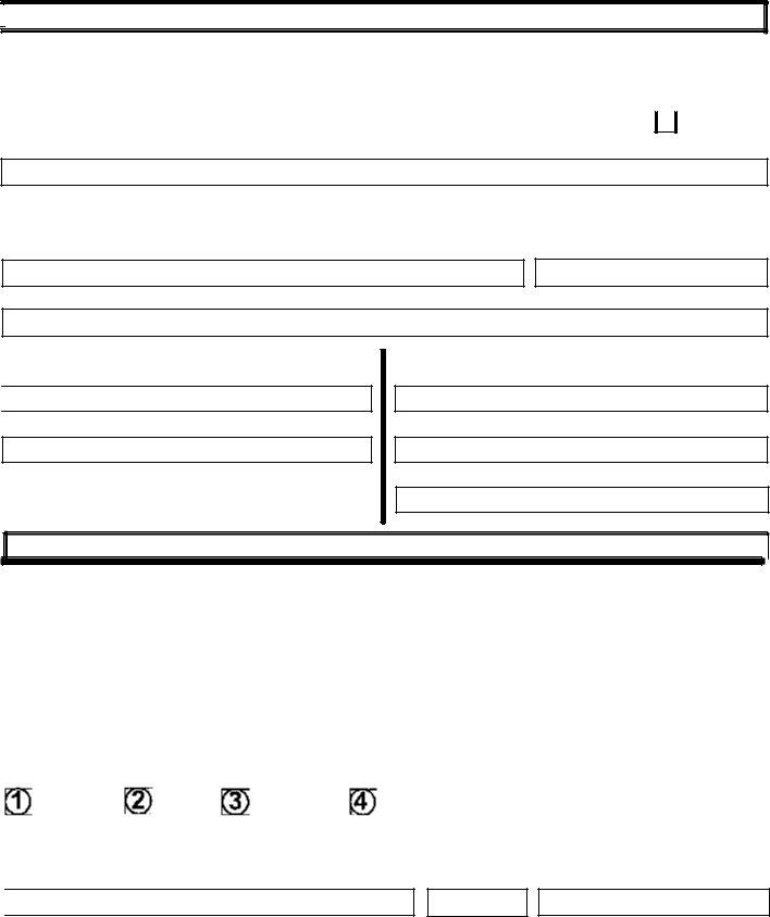 Work Permit ≡ Fill Out Printable PDF Forms Online