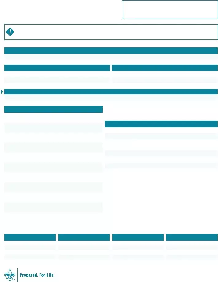 Fillable Bsa Health Form - Printable Forms Free Online