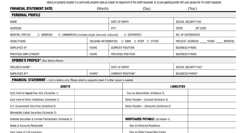 Capitol One Financial Statement PDF Form - FormsPal