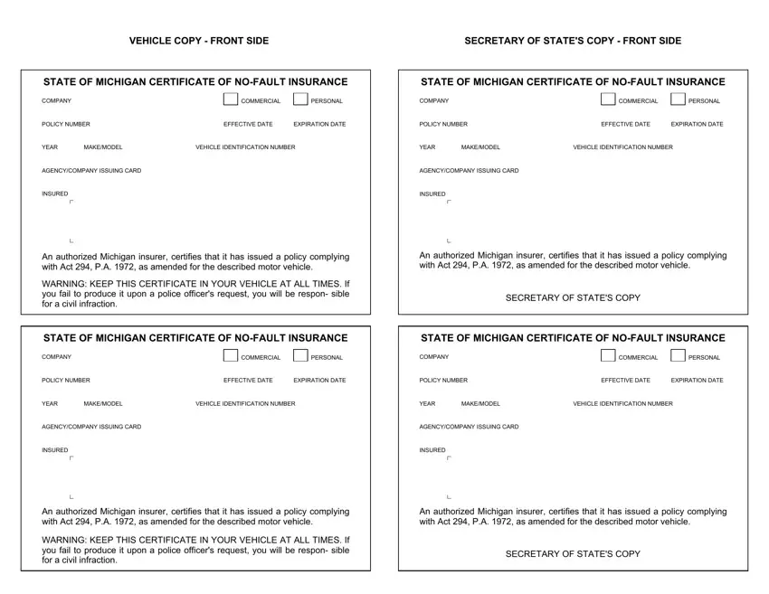  Blank Fillable Fake Car Insurance Card Template 572433 Blank 