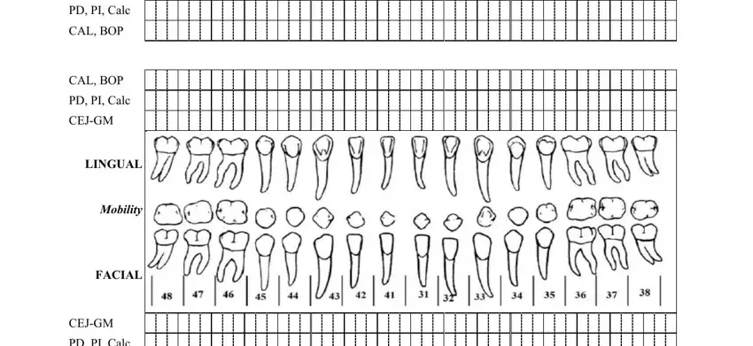 Perio Chart Form Fill Out Printable PDF Forms Online