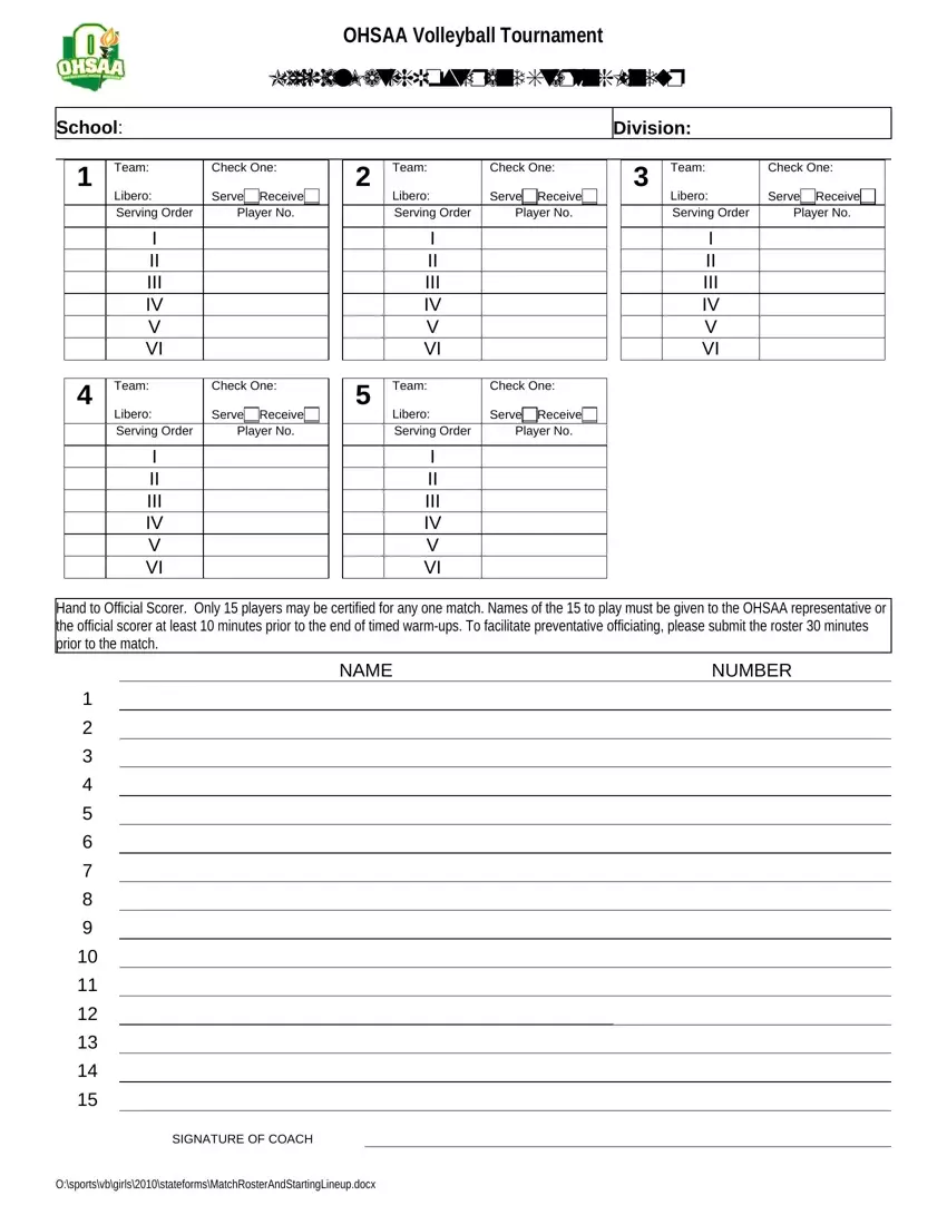 Volleyball Official Lineup Fill Out Printable PDF Forms Online